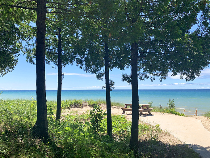 Lake Michigan plays peek-a-boo through the trees, offering this perfect picnic spot where the forest meets the great blue beyond. 