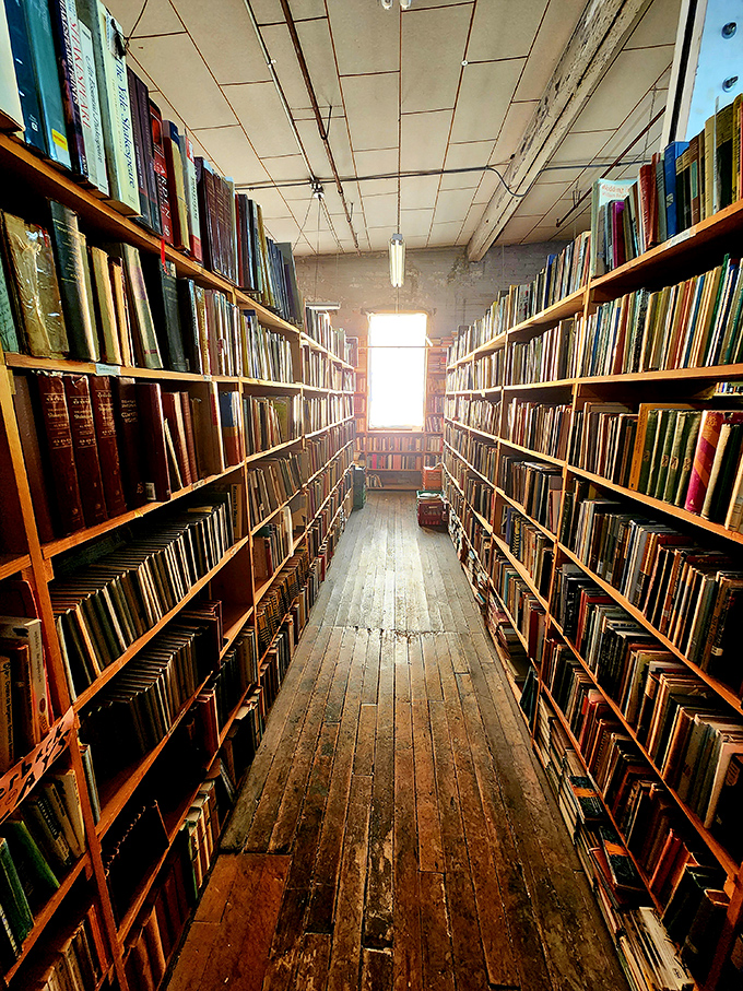 The hushed corridor stretches toward a distant window, books standing at attention like literary soldiers guarding centuries of human thought.