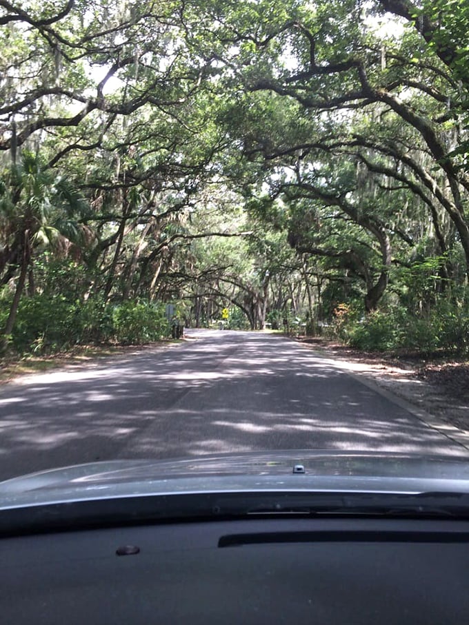 The road less traveled beckons with promises of serenity and a temporary escape from the digital world.