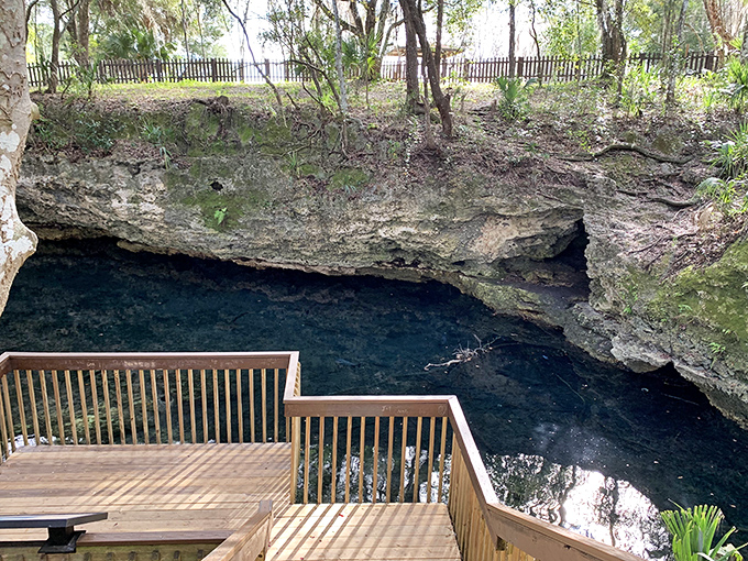 Scott Springs Park reveals Florida's hidden underworld &ndash; a limestone cave where crystal-clear water emerges from ancient underground passages.