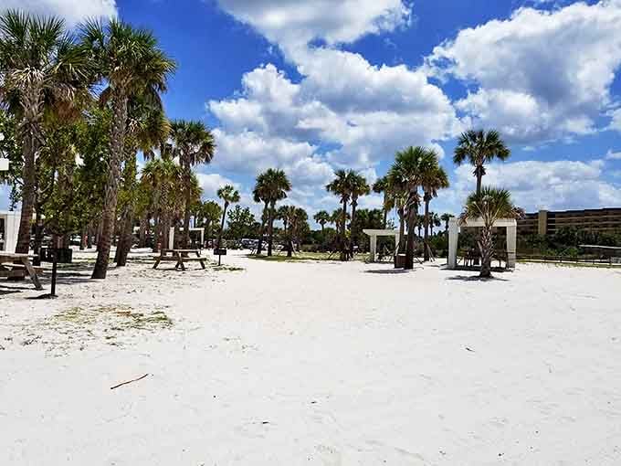 Palm-lined paradise: Siesta Key Beach Park combines Florida's signature palms with powder-soft sand for the ultimate tropical escape.
