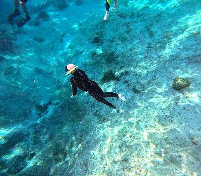 Floating in liquid glass: Snorkelers experience underwater clarity that makes you question if you're still on planet Earth.