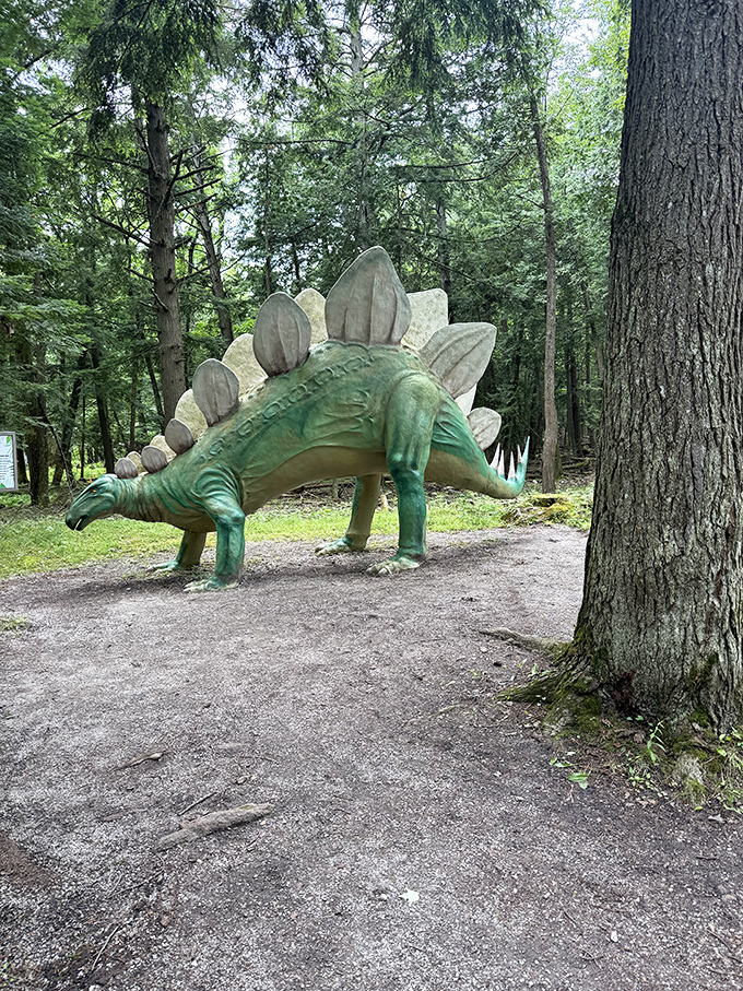The stegosaurus stands sentinel among the trees, its distinctive plates catching dappled sunlight filtering through the forest canopy.