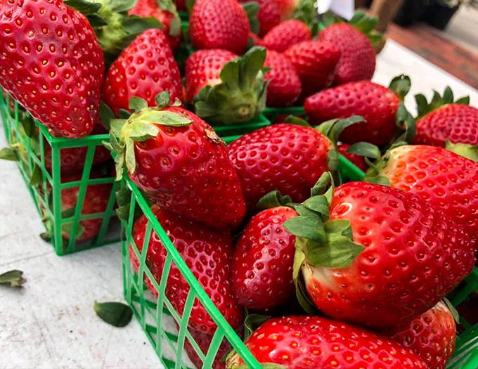 Nature's candy! These strawberries are so perfectly red they look like they're blushing from all the attention they're getting.