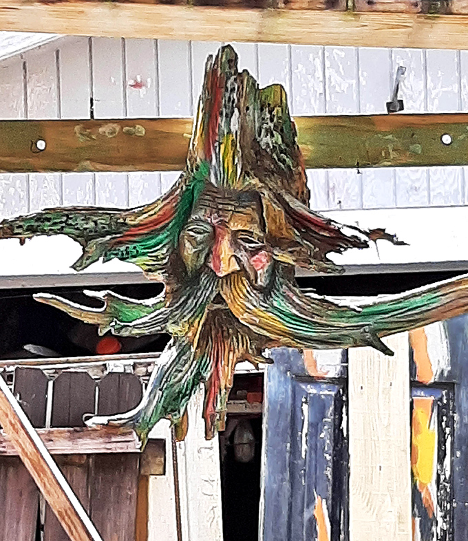 This wooden face emerges from its trunk like a forest spirit caught mid-transformation, its features both human and tree-like.