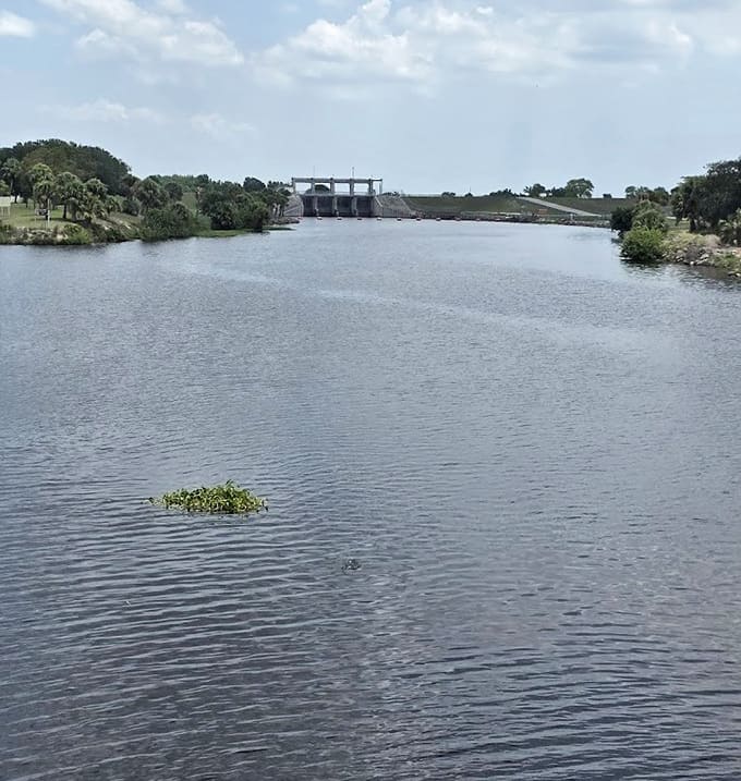 Peaceful waters reflect the sky, offering a moment of tranquility along the route where nature and infrastructure coexist in surprising harmony.