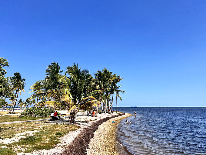 The shallow waters of the atoll pool create a safe paradise for swimmers of all ages against a backdrop of tropical beauty.