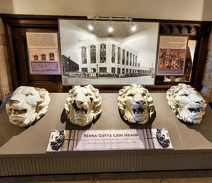 These terra cotta lion heads once roared from atop local buildings, now they rest together like retired guardians of Saginaw's architectural legacy.