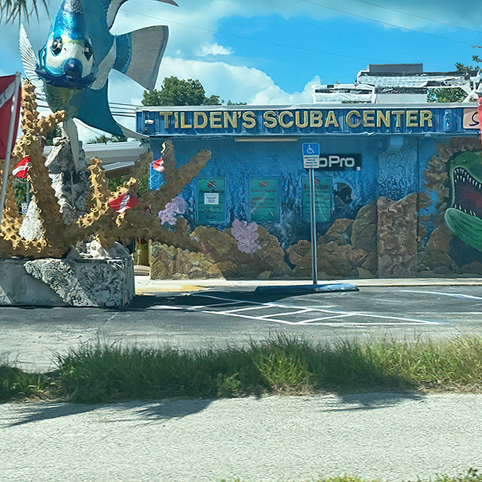 Tilden's Scuba Center found the perfect mascot – what better way to announce "we know diving" than with a fish visible from three blocks away?