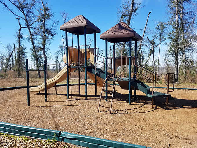 A playground where kids can burn off energy while parents secretly appreciate not having to pay theme park admission prices.