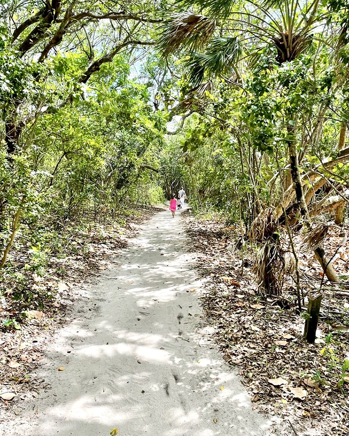 Trails: Sandy pathways wind through native vegetation, offering glimpses into Florida's past before developers decided everything needed a swimming pool.