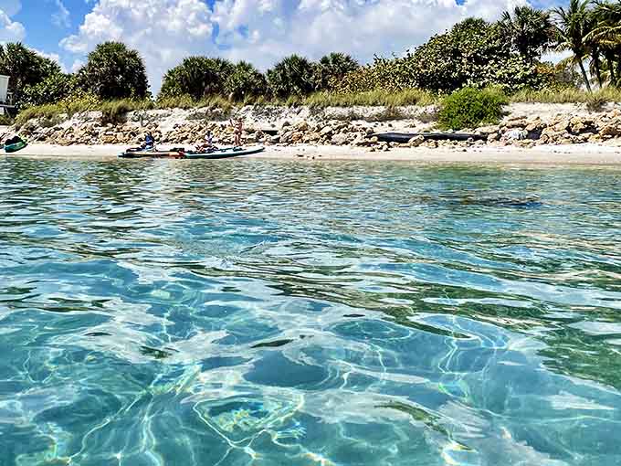 Turtle Beach Tranquility: These sands aren't just for sunbathers; they're maternity wards for sea turtles continuing an ancient ritual.