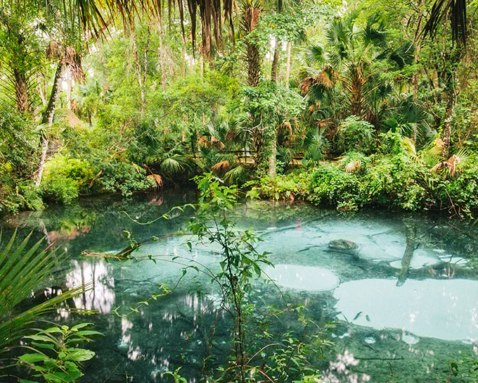 Sand dollars couldn't buy this view &ndash; a patchwork of underwater limestone creating nature's own abstract art.