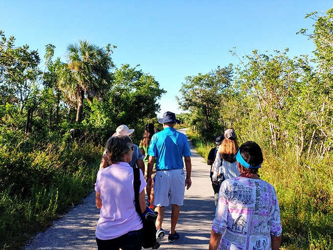 Nature enthusiasts follow the trail of discovery, each bend revealing new wonders in this pristine wilderness just waiting to be explored.