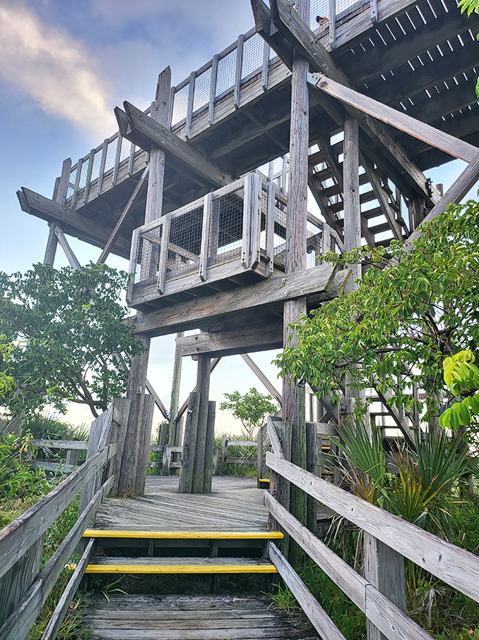 Engineering meets rustic charm in this wooden cathedral to the sky. Those beams have witnessed more sunrises than most of us ever will.