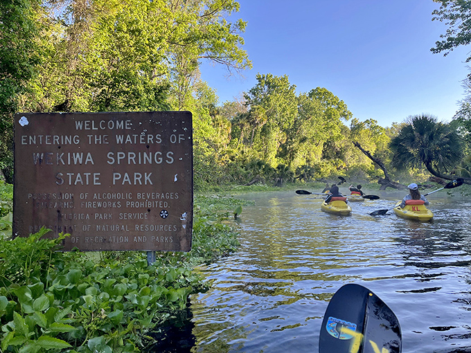 The official dividing line between civilization and wilderness. Once you pass this sign, you're officially in Mother Nature's living room.