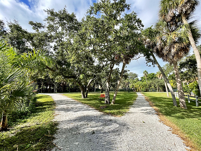 Wood Ibis Park's shell-lined paths wind through native Florida vegetation, creating peaceful walking trails where nature reclaims its rightful place in the landscape.