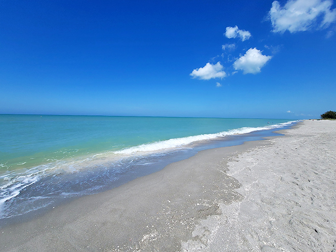 Crystal clear turquoise waters invite swimmers and shell seekers alike, with visibility that lets you spot treasures before they reach shore.