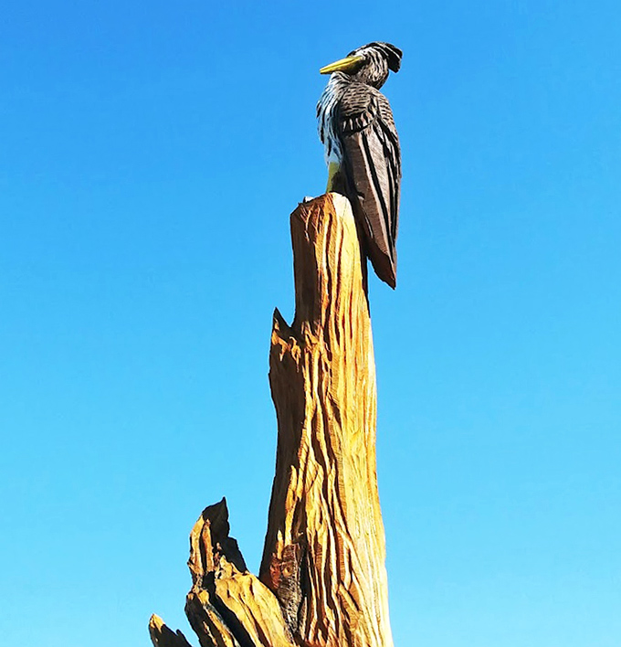Perched majestically against the Florida sky, this bird sculpture captures the stillness and patience of its real-life counterpart.
