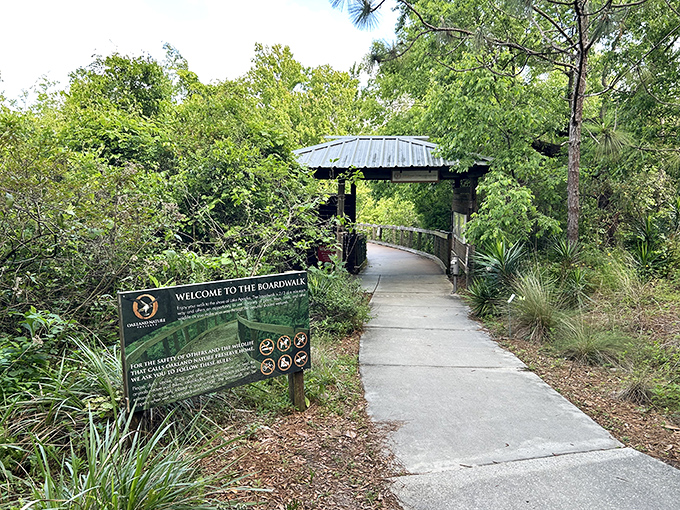 The boardwalk entrance stands as a portal between worlds &ndash; leave behind the theme park chaos and enter nature's judgment-free zone.