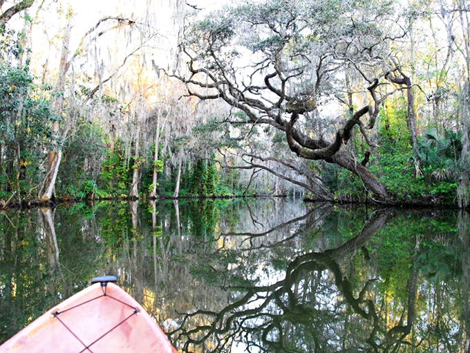 The reflective waters create perfect mirror images, making it delightfully confusing to determine where reality ends and reflection begins.