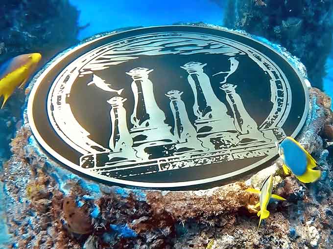 Bronze plaques commemorate those who chose the sea as their eternal home, now surrounded by the vibrant life they help sustain.