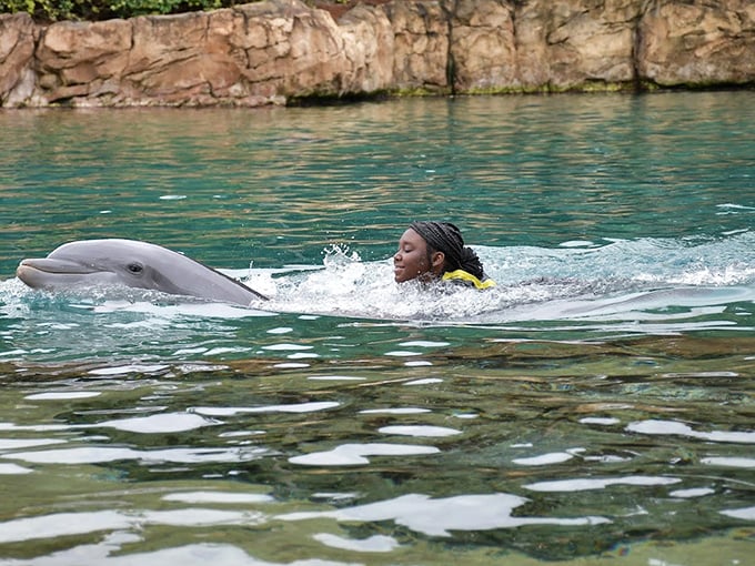 Magic happens in the space between human and dolphin &ndash; a connection that transcends species and creates lifelong memories.