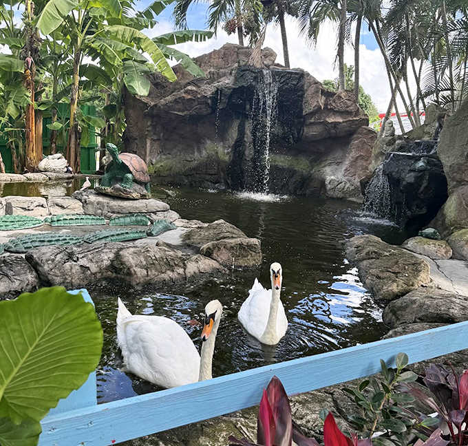 Elegant swans glide across the tranquil pond, creating moments of serenity beneath a gentle waterfall in this multi-sensory family attraction.