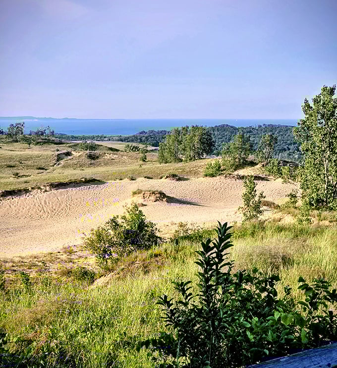 Dune grasses dance in the breeze, their roots heroically holding tons of sand in place against all odds.