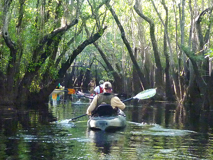 Paddlers navigate through natural tunnels formed by overhanging branches, entering what feels like portals to prehistoric times.