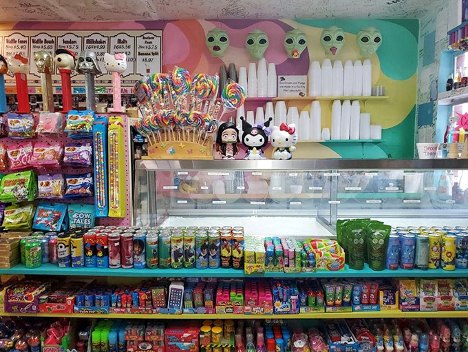 The main counter area buzzes with sweet anticipation as customers contemplate life's most important question: chocolate or vanilla?