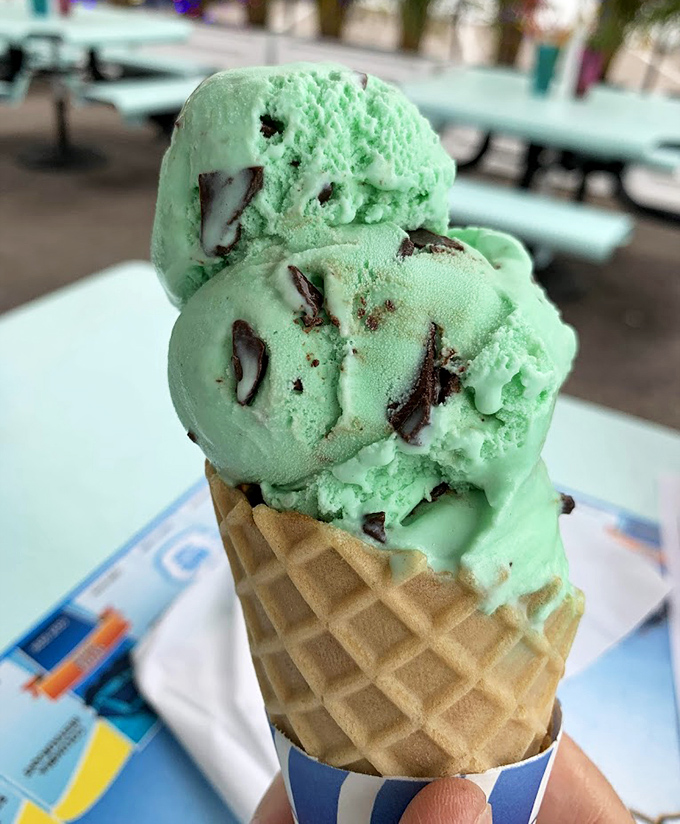 Mint chocolate chip that's actually the color of real mint leaves, not radioactive waste—a refreshing reminder that natural ingredients still exist in this world.