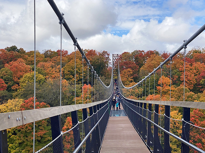 The bridge's gentle sway reminds visitors they're suspended by engineering rather than magic—though standing here, the distinction feels wonderfully blurry.