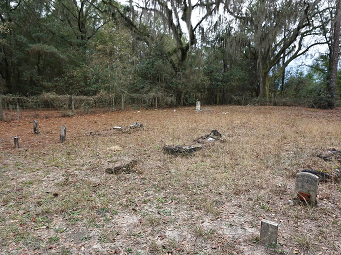 Dappled sunlight creates an ever-changing tapestry across the cemetery grounds, where silence speaks volumes about lives long past.