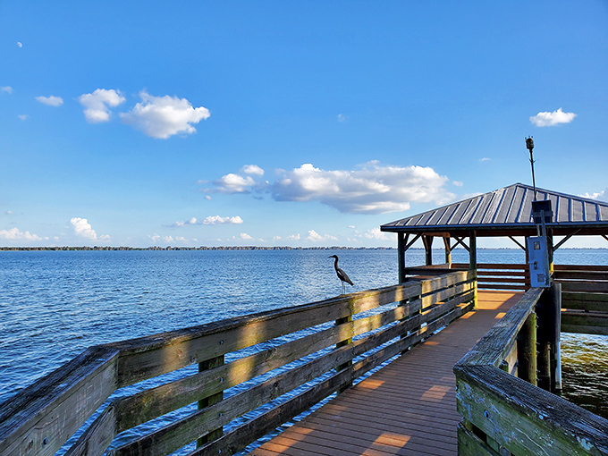 A solitary heron stands sentinel on this peaceful pier, offering visitors a moment of reflection overlooking Lake Hancock's expansive waters.