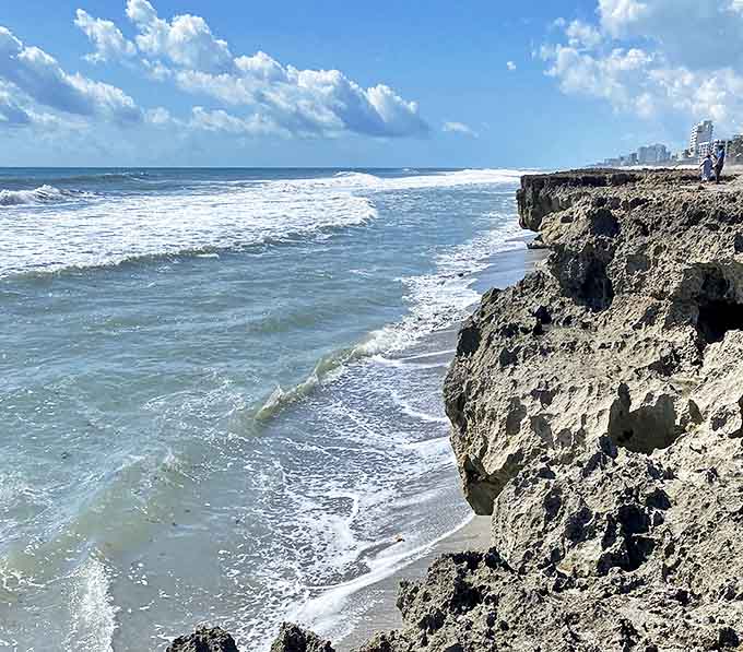 Dramatic cliffs worthy of a Mediterranean postcard, yet uniquely Floridian. These limestone formations have been nature's sculpture garden for millennia.