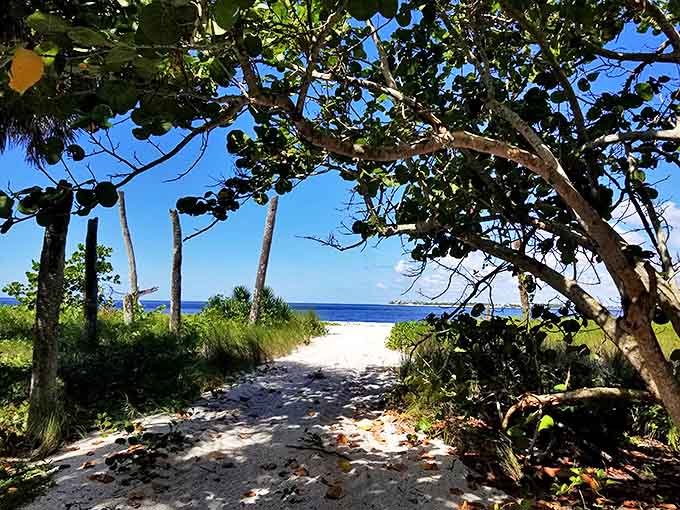 Every path leads to wonder &ndash; sandy trails wind through coastal vegetation, promising discoveries around each bend.