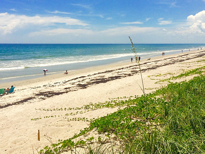 Wide open spaces mean plenty of room for zoomies &ndash; that inexplicable burst of energy every dog owner recognizes and cherishes.