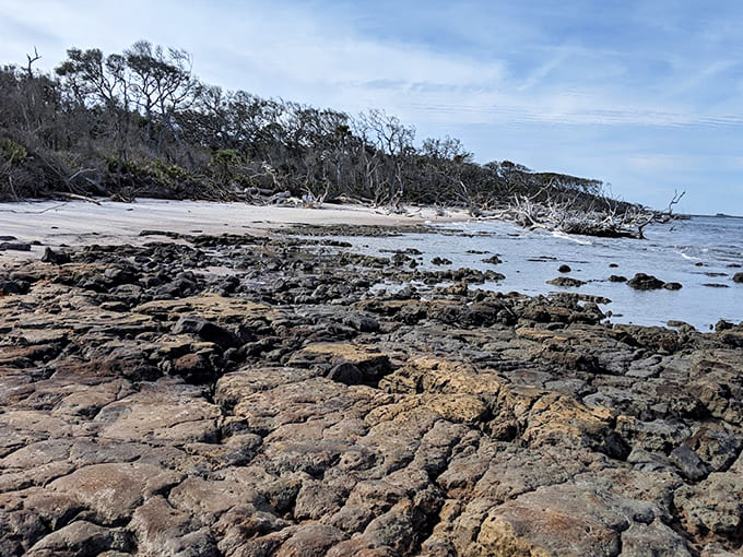 Ancient cypress trees stand sentinel along the riverbank, their gnarly knees poking up like curious onlookers watching paddlers drift by.