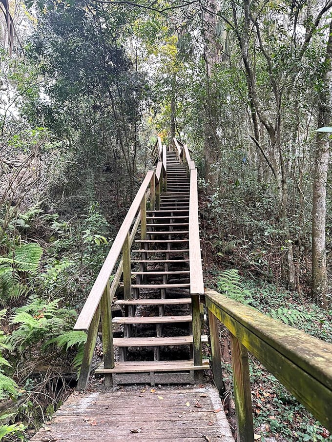 These stairs aren't just a workout&mdash;they're a stairway to paradise. Your calves may protest, but your soul will sing!