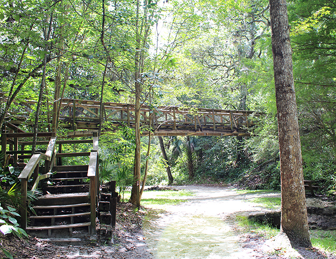These wooden stairs don't just lead upward&mdash;they're a stairway to heaven's view, promising panoramic rewards for those brave enough to climb.