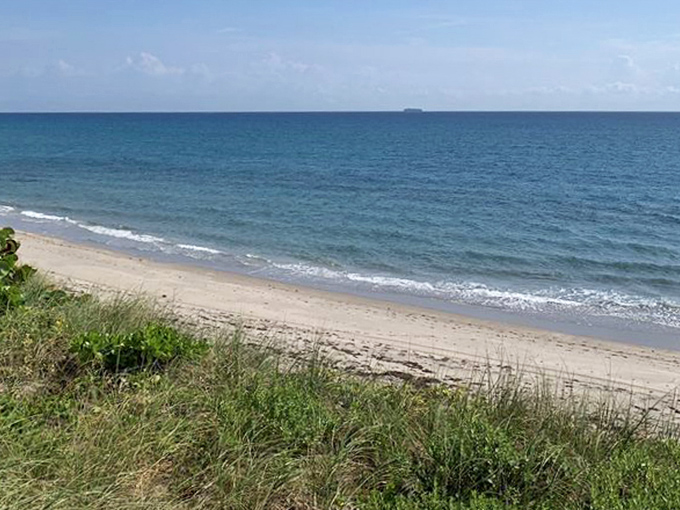 On clear days, the water clarity rivals the Caribbean, proving Florida keeps some of its best secrets hiding in plain sight.