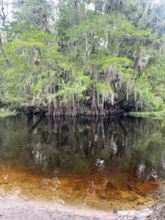 The Hidden Trail That Leads To A Mysterious Ghost Town in Florida