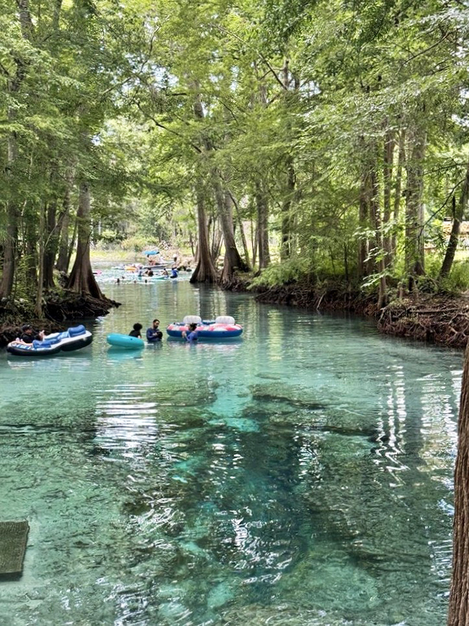 The ultimate Florida relaxation technique: visitors float down crystal-clear waterways on colorful tubes, letting the gentle current do all the work.