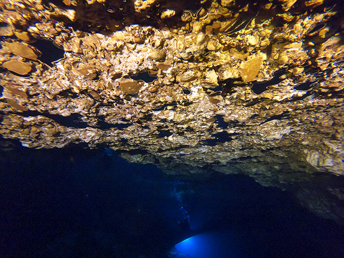 Limestone formations create a geological masterpiece underwater, sculpted by millennia of patient water droplets with artistic ambitions.