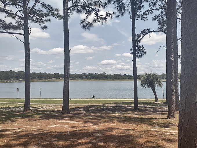 Tall pines frame the lake view like nature's own picture window, creating postcard-worthy vistas that change with every passing cloud and shifting sunbeam.