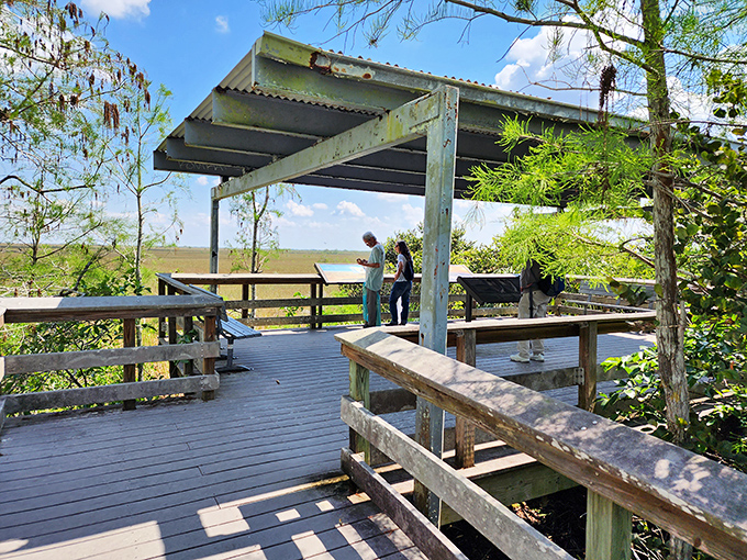 Fellow adventurers gather at the observation platform, sharing that universal "can you believe this view?" expression that transcends language barriers.