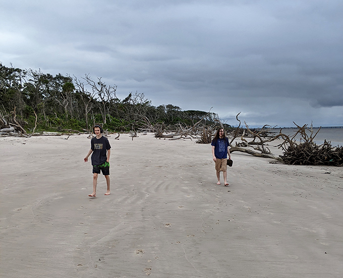 Visitors explore this natural wonderland, where every turn reveals new driftwood formations shaped by wind, water, and time.