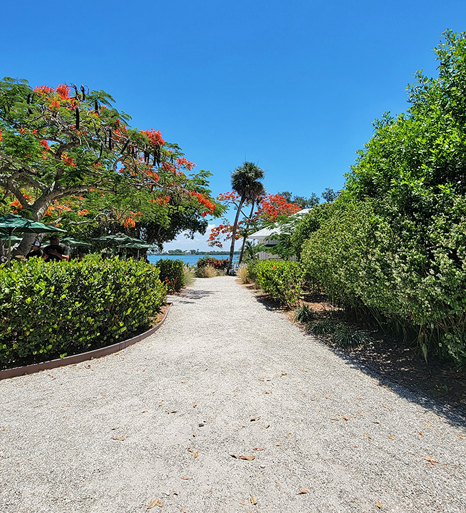 This pathway meanders through tropical foliage, leading visitors on a journey where the destination is less important than the peaceful journey itself.