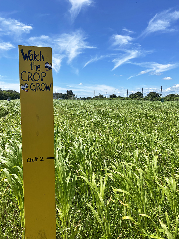 7a. countryside family farms (vero beach)